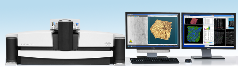 xiRAY Camera Choosen for World's First 11 MPix Micro-CT Scanner | XIMEA.com